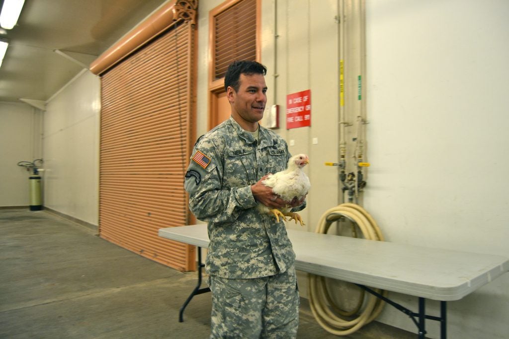Army Animal Husbandry Training – Sainz Laboratory